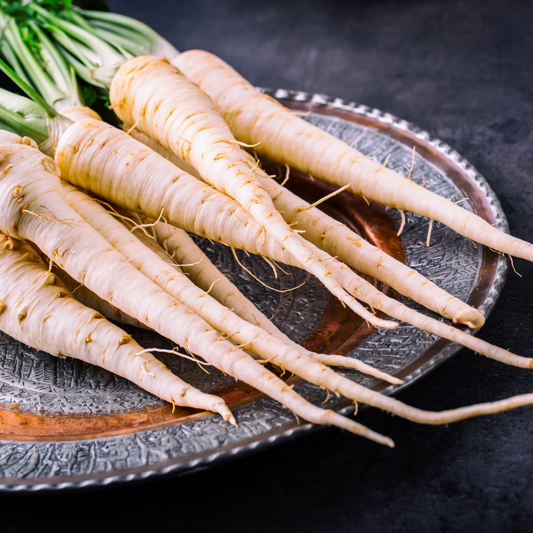 White Gem Parsnip Carrot Vegetables 100 PCS Seeds - Seeds & Bulbs
