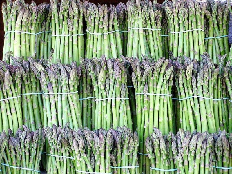 BS 1000 Asparag Uc72 Mary'S Granddaughter Heirloom Organic Non Gmo Fast ...