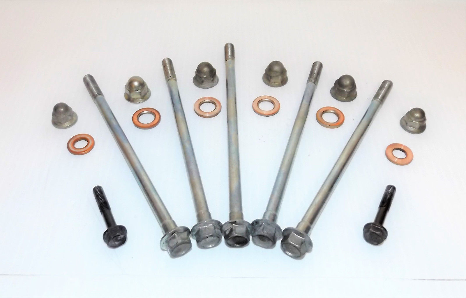 Honda VT1100C2 : Cylinder Head Bolt Set (90015-MG8-000) {P1953 ...