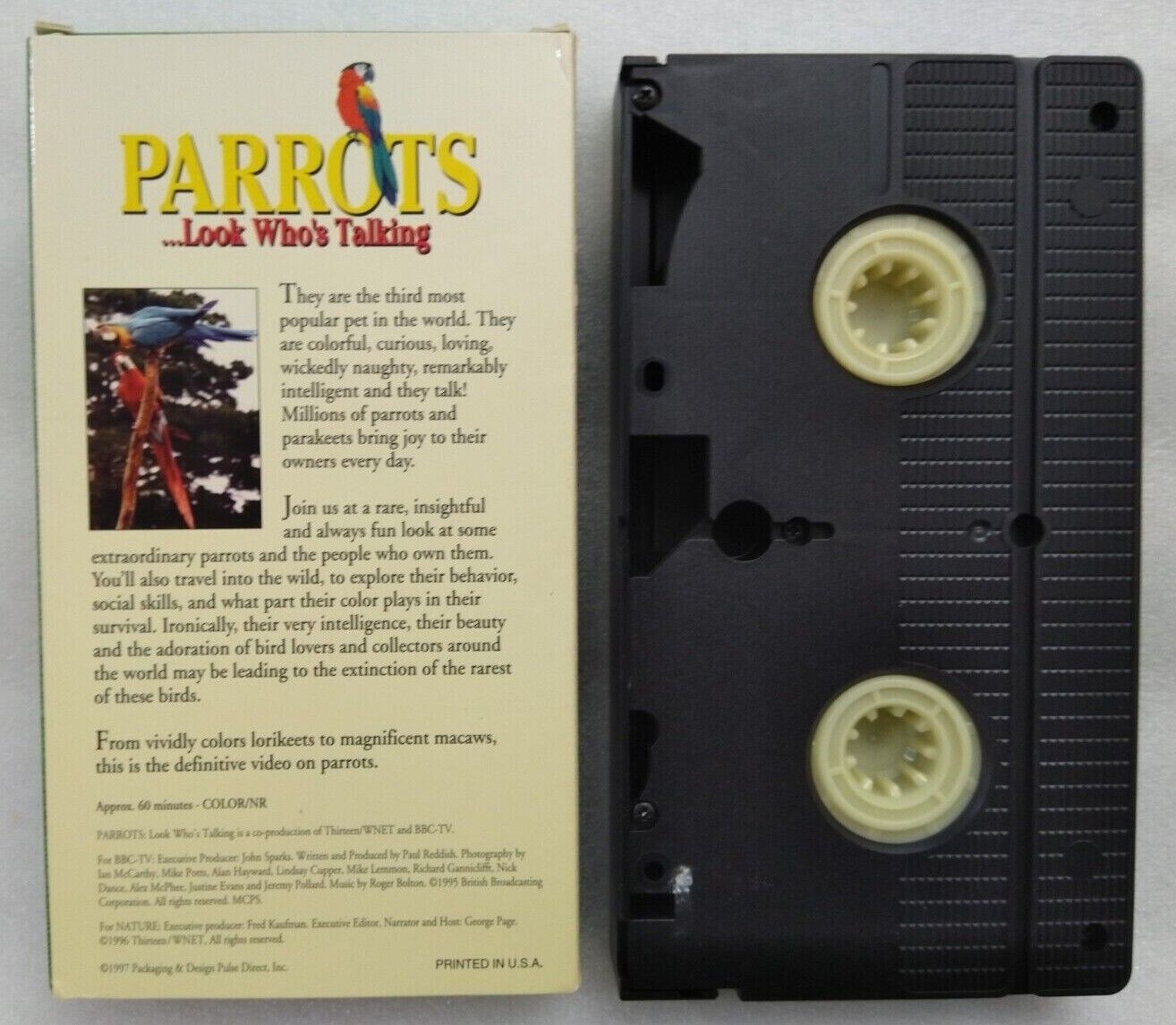 VHS Parrots Look Who's Talking (VHS, 1997, Pulse Direct, Thirteen/WNET ...