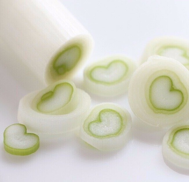 LWK Green Onion Organic White Long Tokyo Seeds Packet 1 Gram Bunching ...