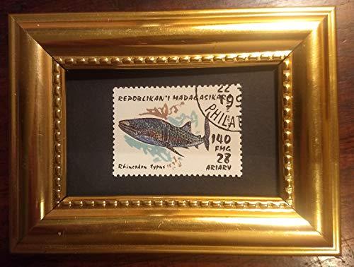 Used Collectible Postage Stamp - Whale Shark - Toys & Hobbies
