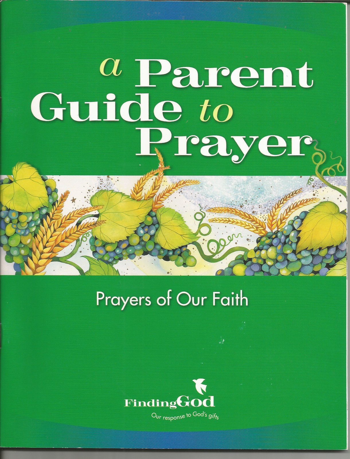 A Parent Guide to Prayer: Prayers of Our Faith (Finding God 2005, 2007 ...