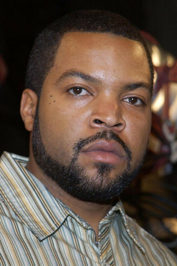 Ice Cube Color 11x17 Mini Poster - 2000-Now