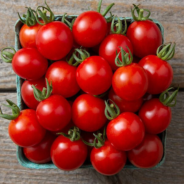 LWK 50 Seeds Jasper Tomato Tomatoe Vegetable Edible Food Easy Grow ...