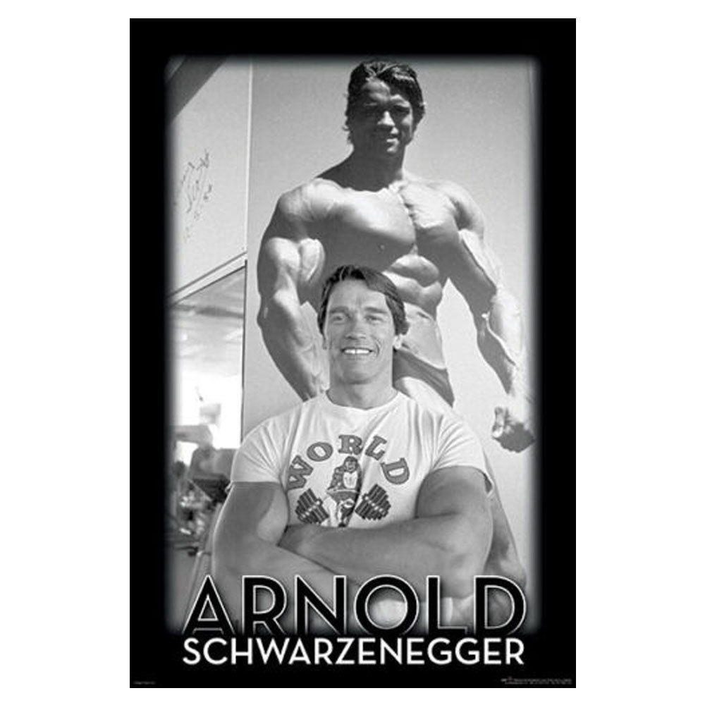 Arnold Schwarzenegger Poster - Posters
