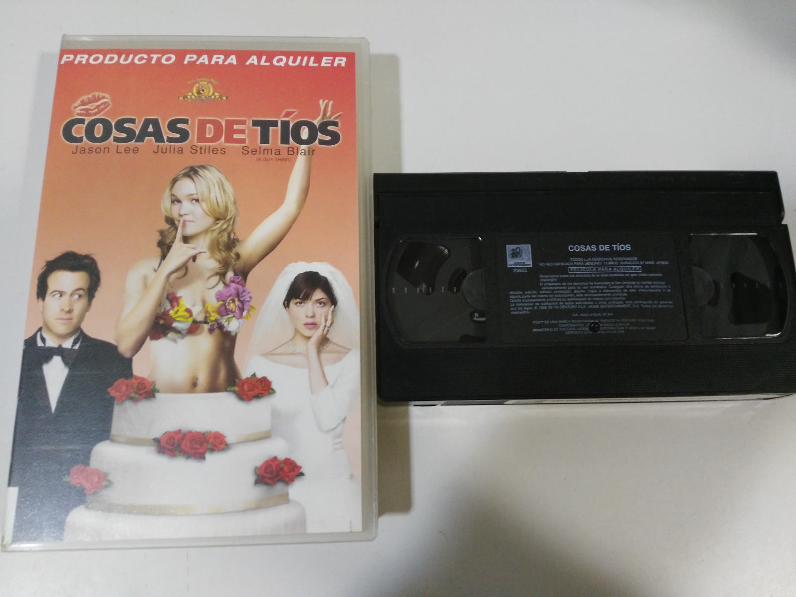 Choses de Gars Jason Lee Julia Stiles Selma Blair VHS Collector ...