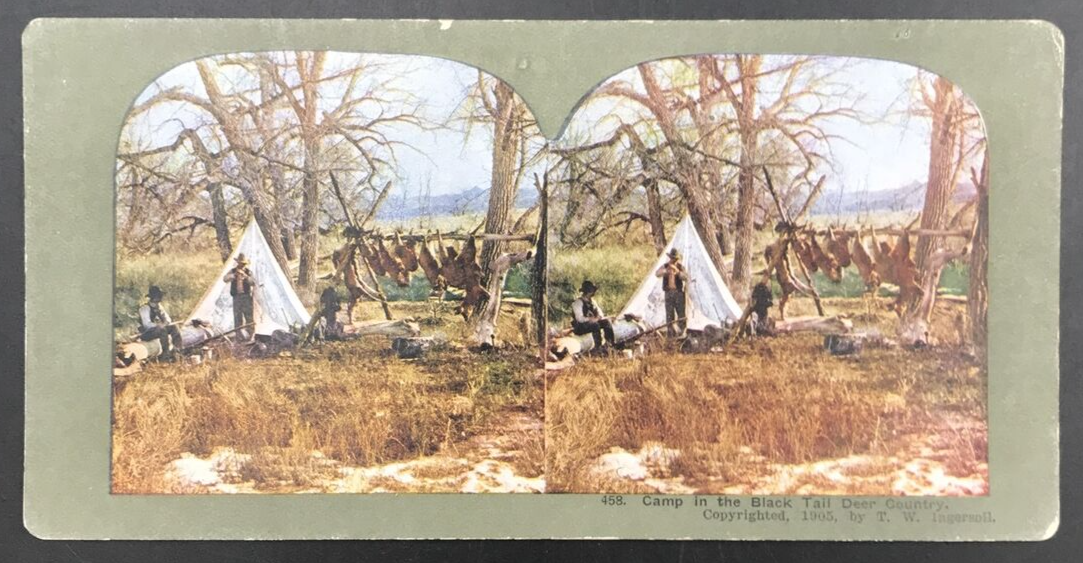 1905 TW Ingersoll Stereograph #458 Camp In the Black Tail Deer Country Hunting - Stereoviews ...