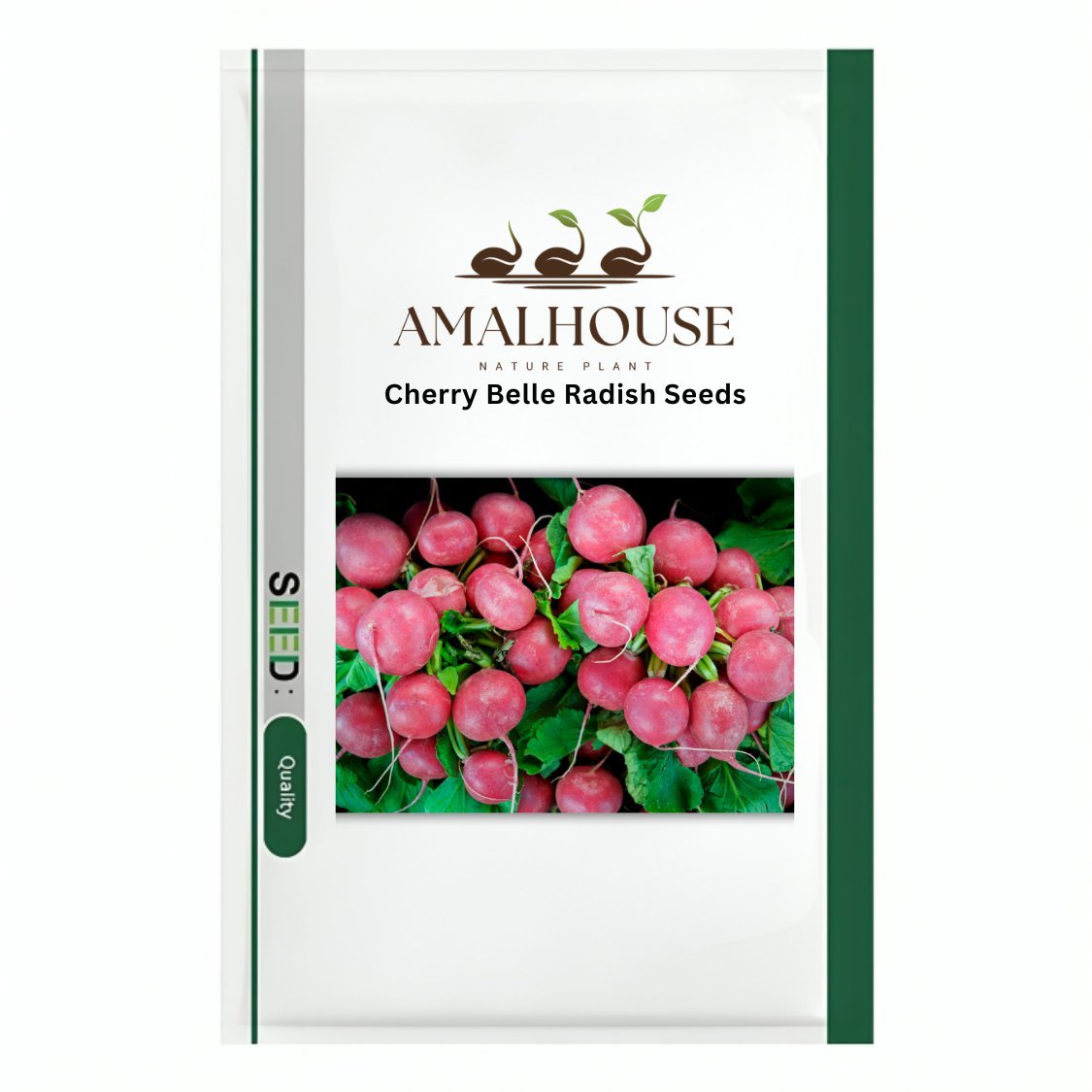 Cherry Belle Radish - 1000 PCS Seeds - Home & Garden