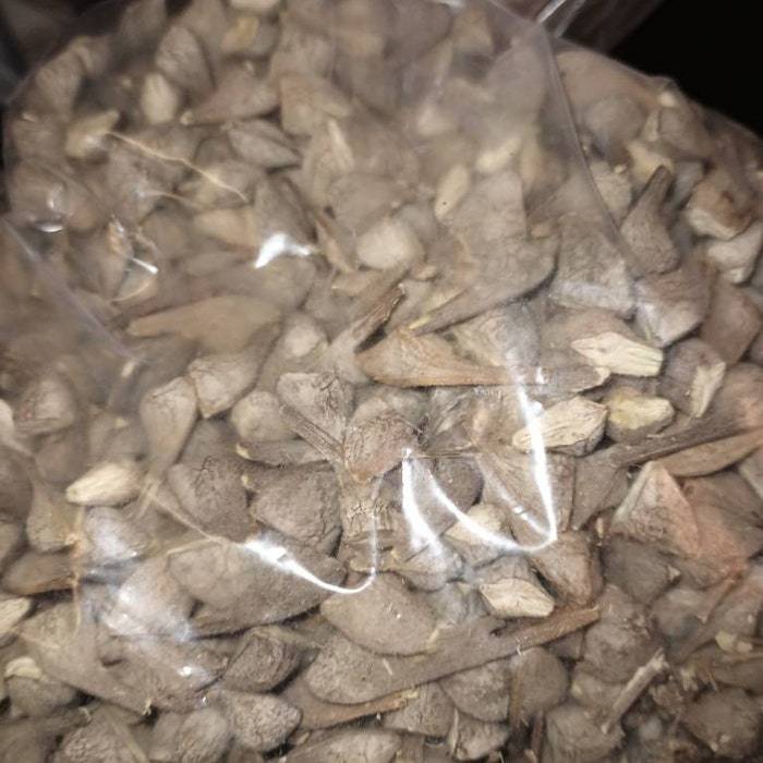 Oregon Maple Tree Seeds Acer Macrophyllum Broadleaf Maple Tree Seeds ...