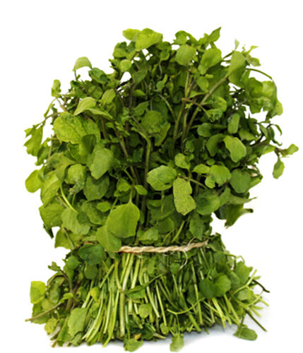 SMX 500 Watercress Seeds True Watercress Chinese Watercress Supperfood ...