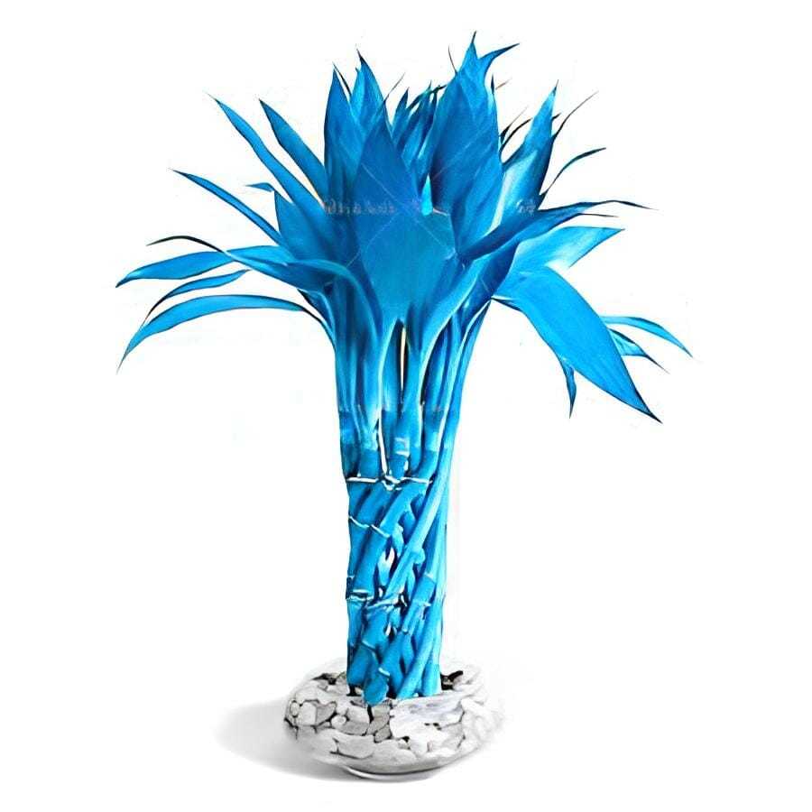 100 Seeds Blue Lucky Bamboo Bonsai Anti Radiation Absorb dust Tree ...