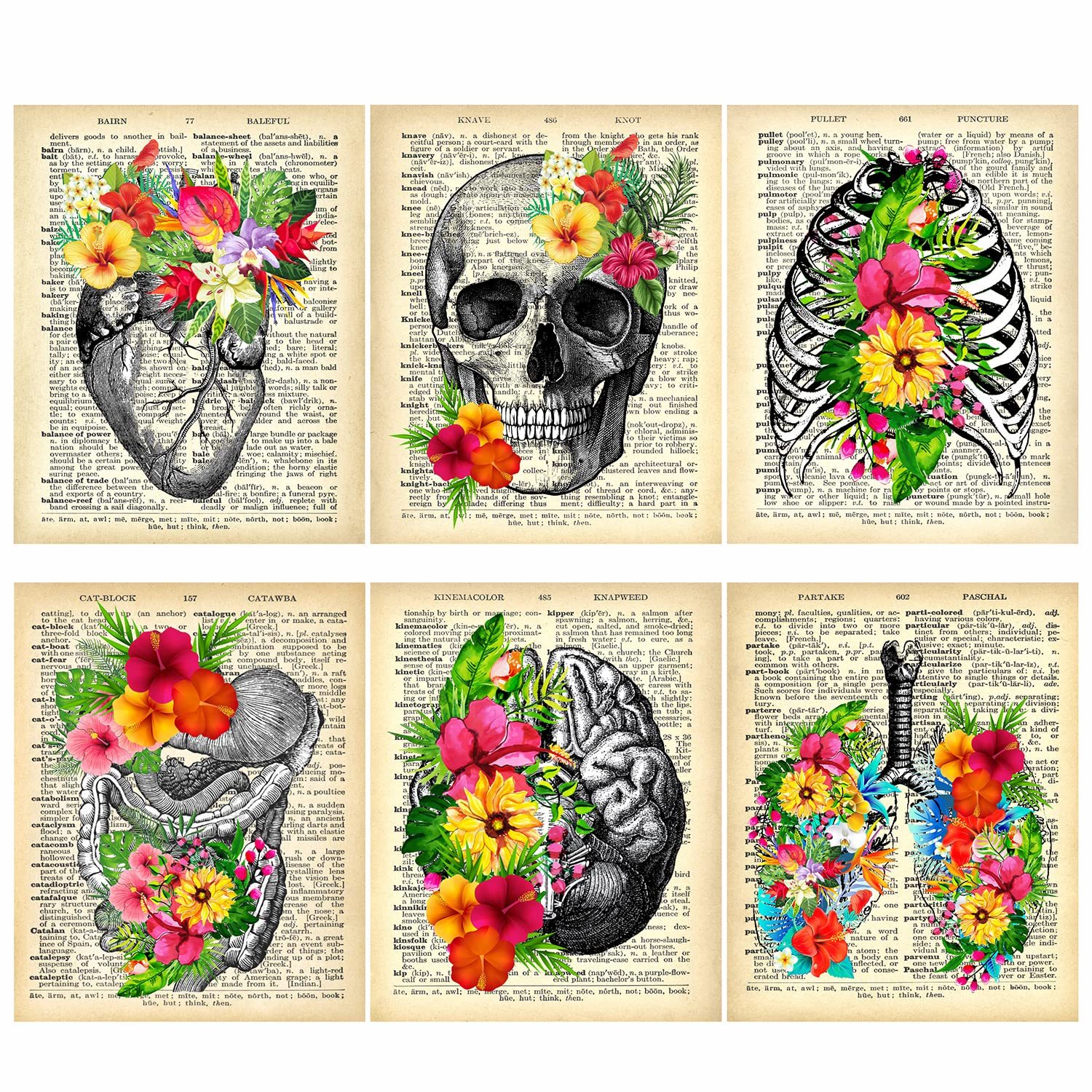 Medical Dictionary Art Set - Vintage Anatomical Posters Retro Floral ...