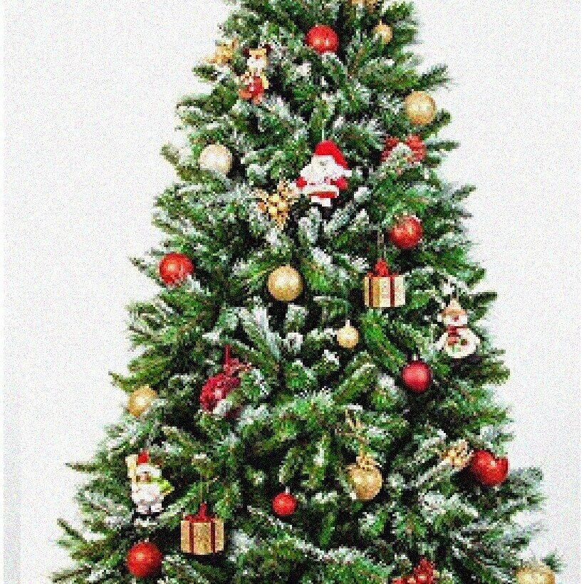 EcoTreeLife - Interactive Life Size Cardboard Cut Stand up Tree: A ...