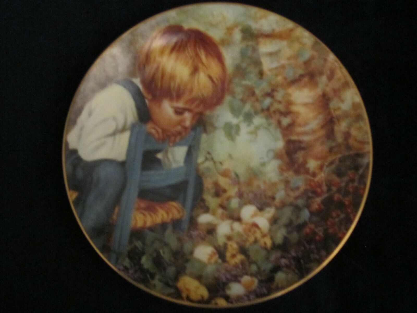 MICHAEL'S MIRACLE collector plate NANCY TURNER boy with CHICKS children ...