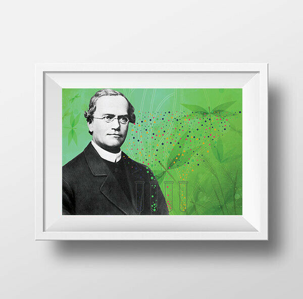 Gregor Mendel Scientist Portrait Poster - Art Posters