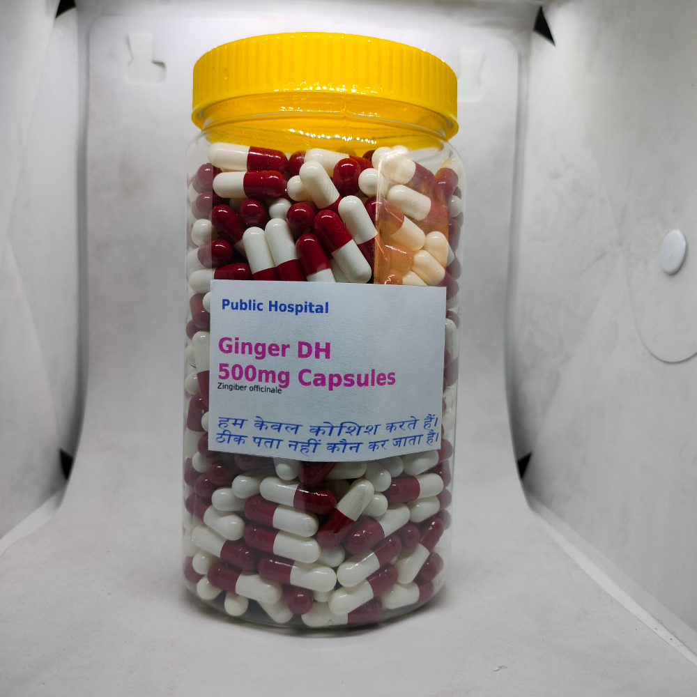 Ginger VH Herbal Supplement Capsules 1000 Caps Jar - Other Vitamins ...