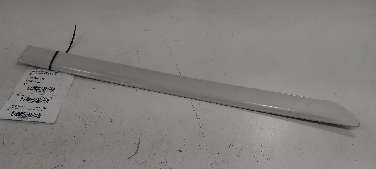 Nissan Altima Door Molding Trim Strip Right Rear Passenger Side Back ...