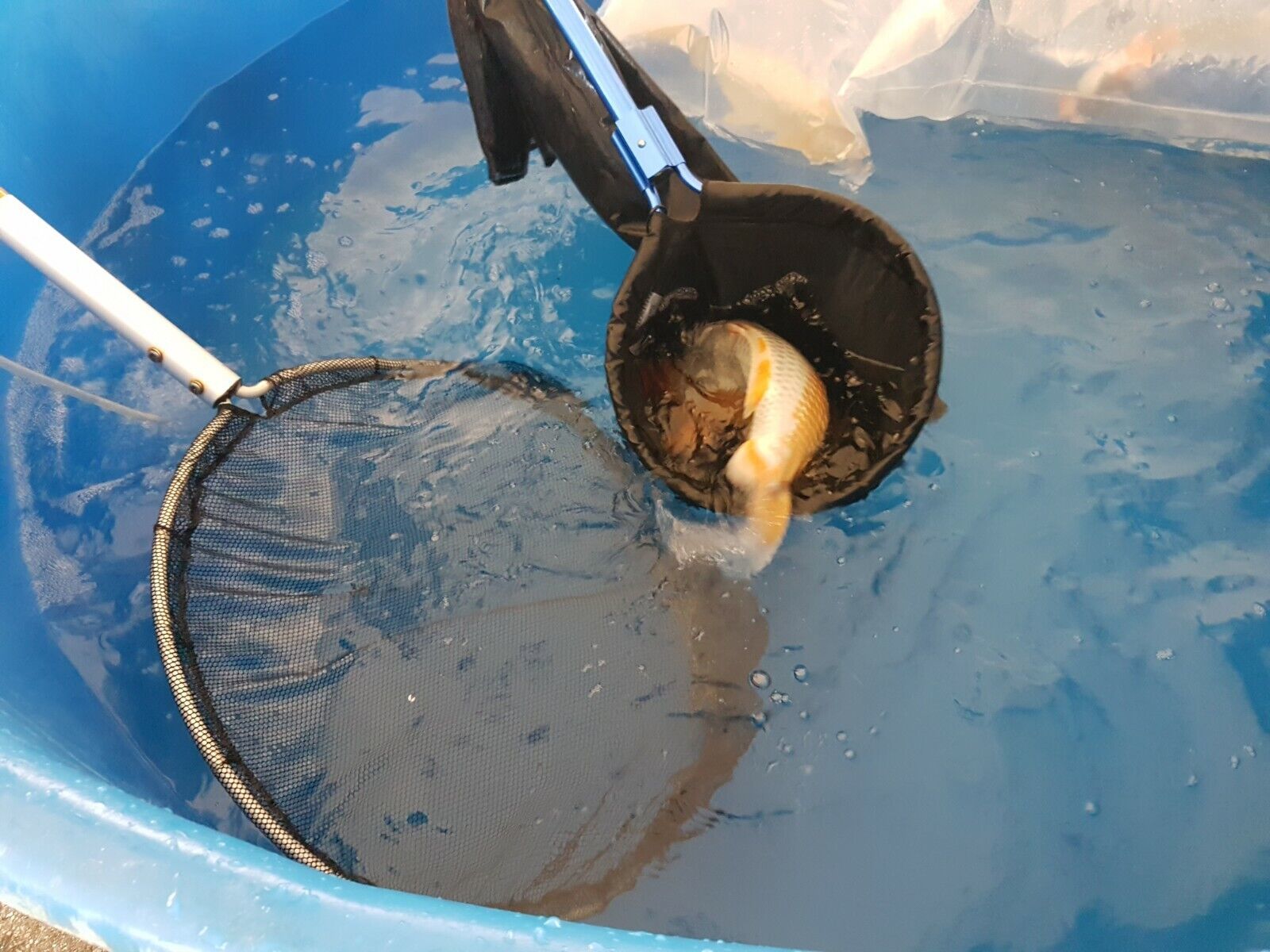 Heavy Duty Waterproof Koi Sock Net, Safe transfer of Koi Fish - NET ...