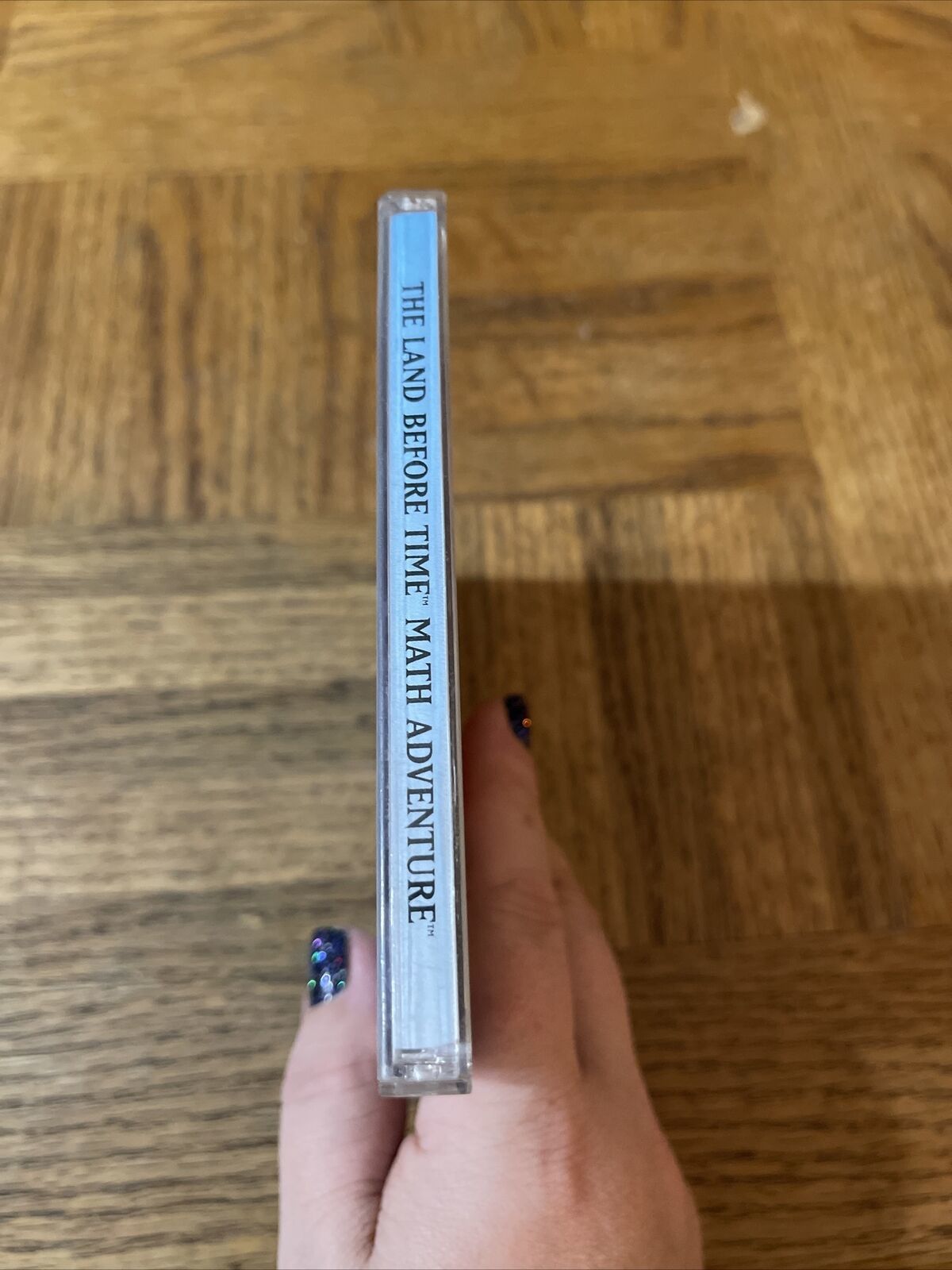 The Land Before Time Math Adventure PC CD Rom - Video Games