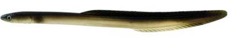 Artificial Eel 8" Natural Eel Color 4 Pack - Almost Alive Lures - Baits ...