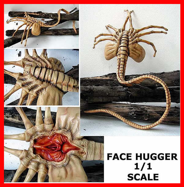 ALIEN FACEHUGGER 1/1 Life Size DIY Vinyl Model Kit Figure Sculpture ...