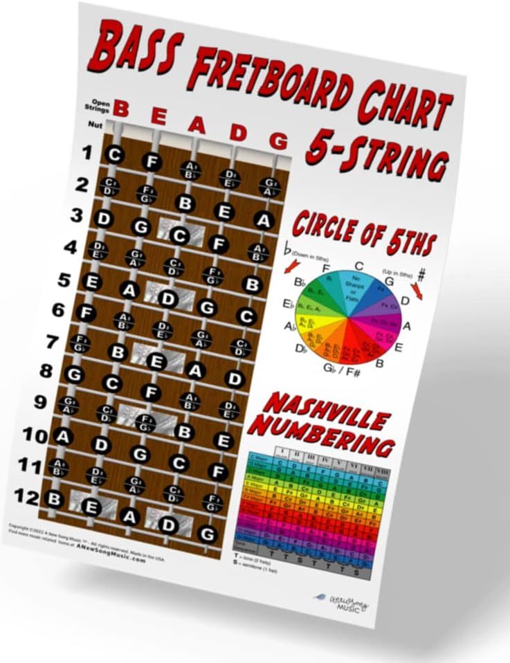 5 String Bass Fretboard Poster - Nashville Numbering System, Circle Of ...