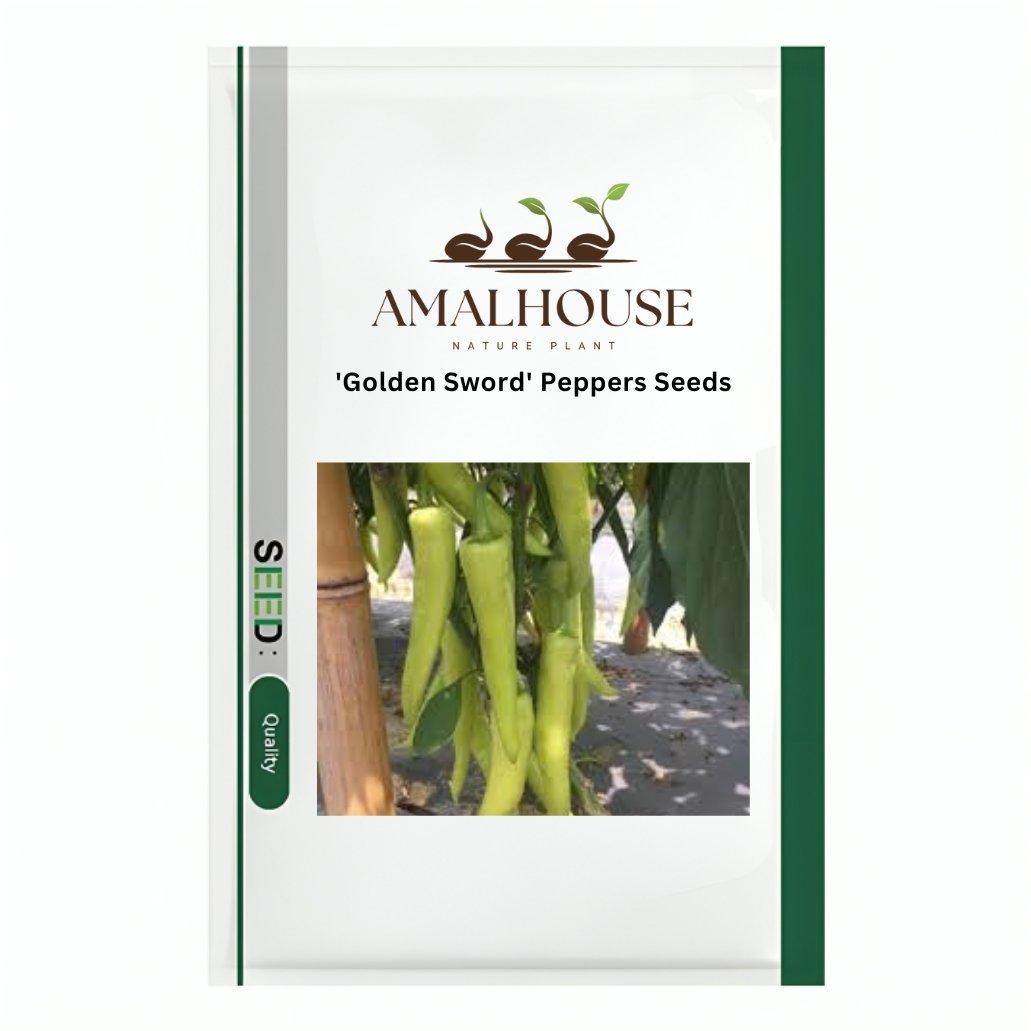 'Golden Sword' Peppers - 100 PCS Seeds - Home & Garden