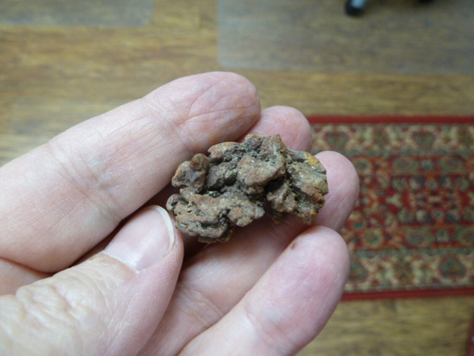 PP280-18) 7/8" Genuine Ancient TURTLE POOP Coprolite Madagascar Dung ...