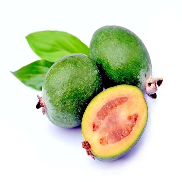 PS 20 Pineapple Guava Tree Seeds Brazilian Fig Guava Fruit Tropical ...