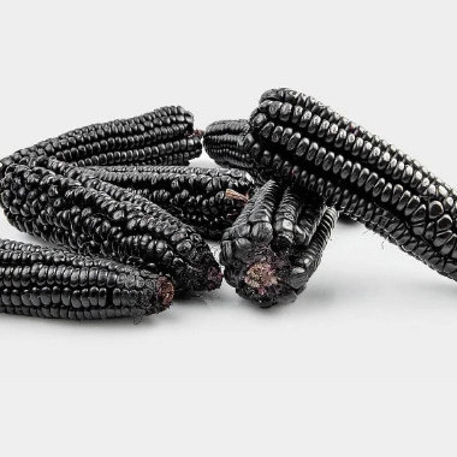 New Organic Black Montana Corn Seeds Vegetable Seeds Montana Morado ...