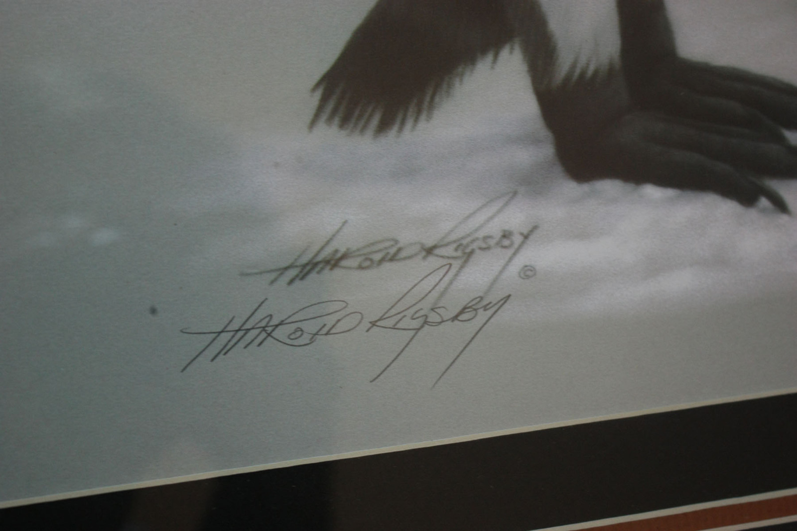 Harold Rigsby Emperor Penguin Signed Print with Frame - Art Prints