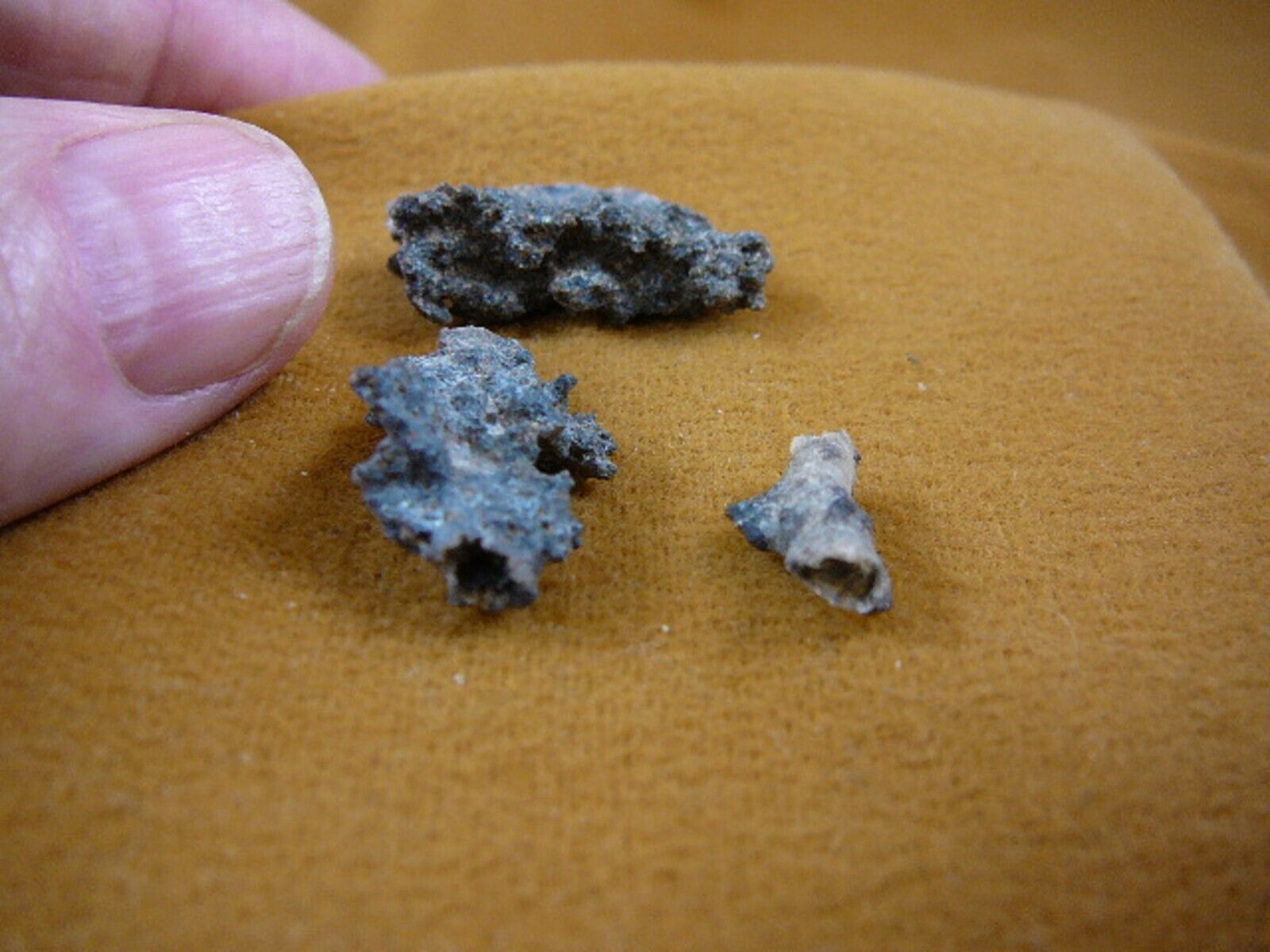 (R310-32) 3 Fulgurites lightning strike beach sand glass Sahara Desert ...