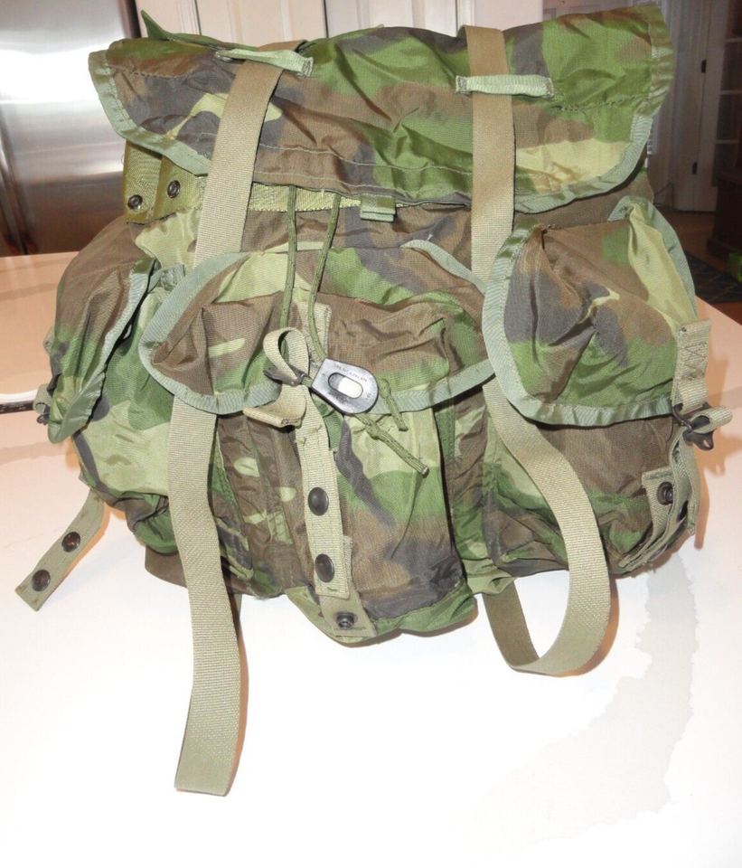 VINTAGE MILITARY WOODLAND BDU SIGNAL RTO SINCGARS Radio RUCKSACK RUCK ...