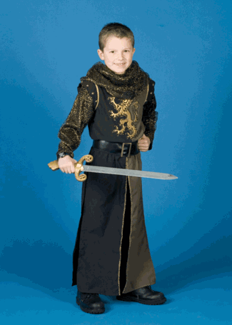 Child Knight Costume / Prince Valiant / Deluxe Quality - Specialty