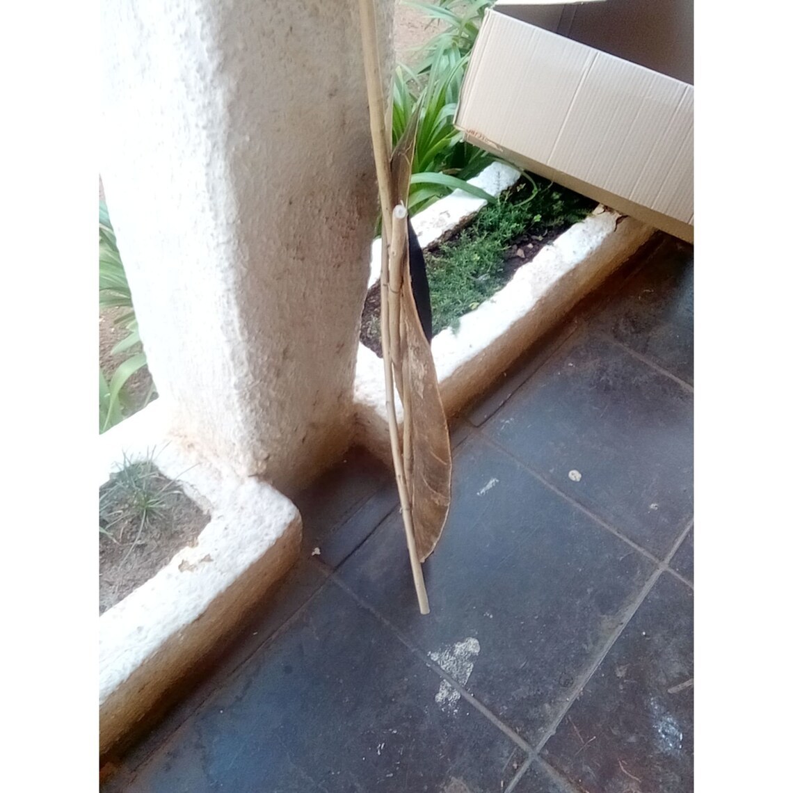 African Zulu Traditional cultural Shield, African warrior hat - Armor ...