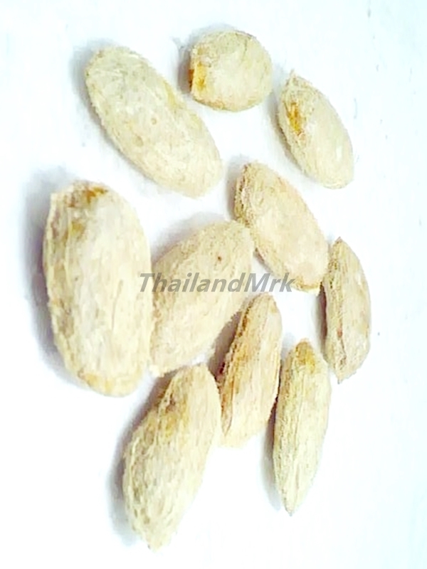 Maprang Bouea macrophylla Anacardiaceae 25 and similar items