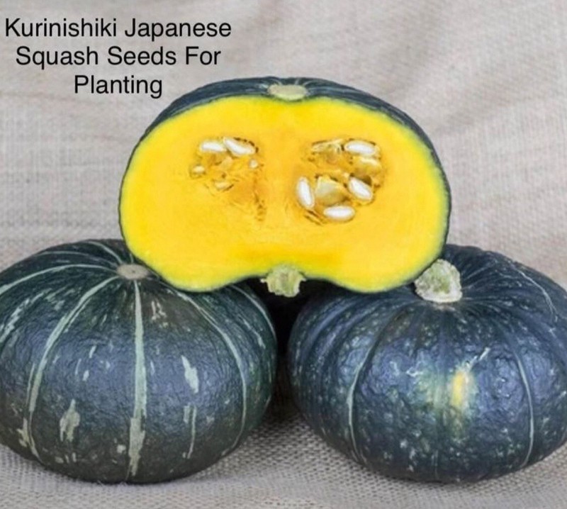 Japanese Squash Seeds