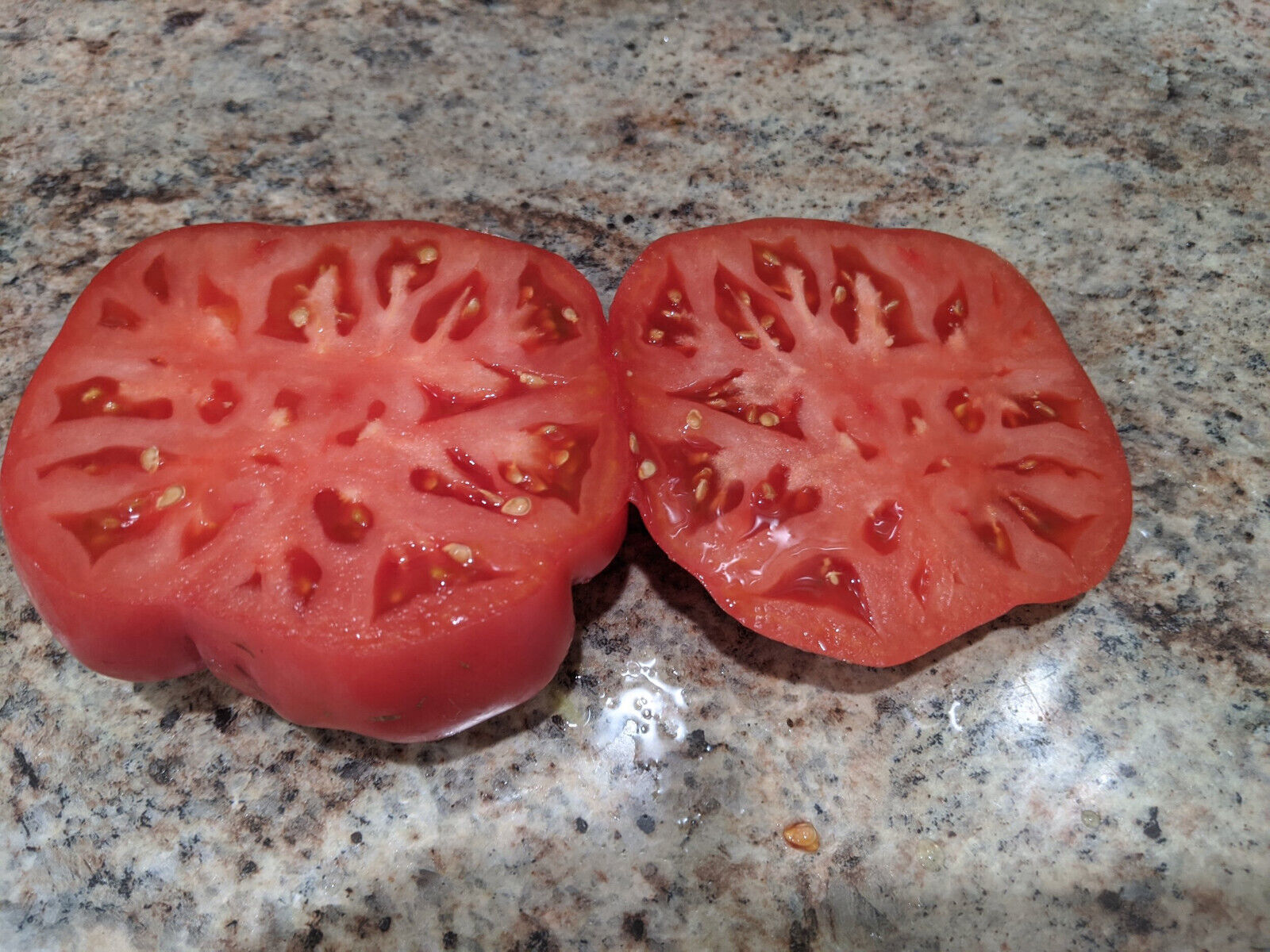 50 Seeds Dwarf Awesome Tomato Juicy Vegetable Garden Edible Fresh Seeds ...