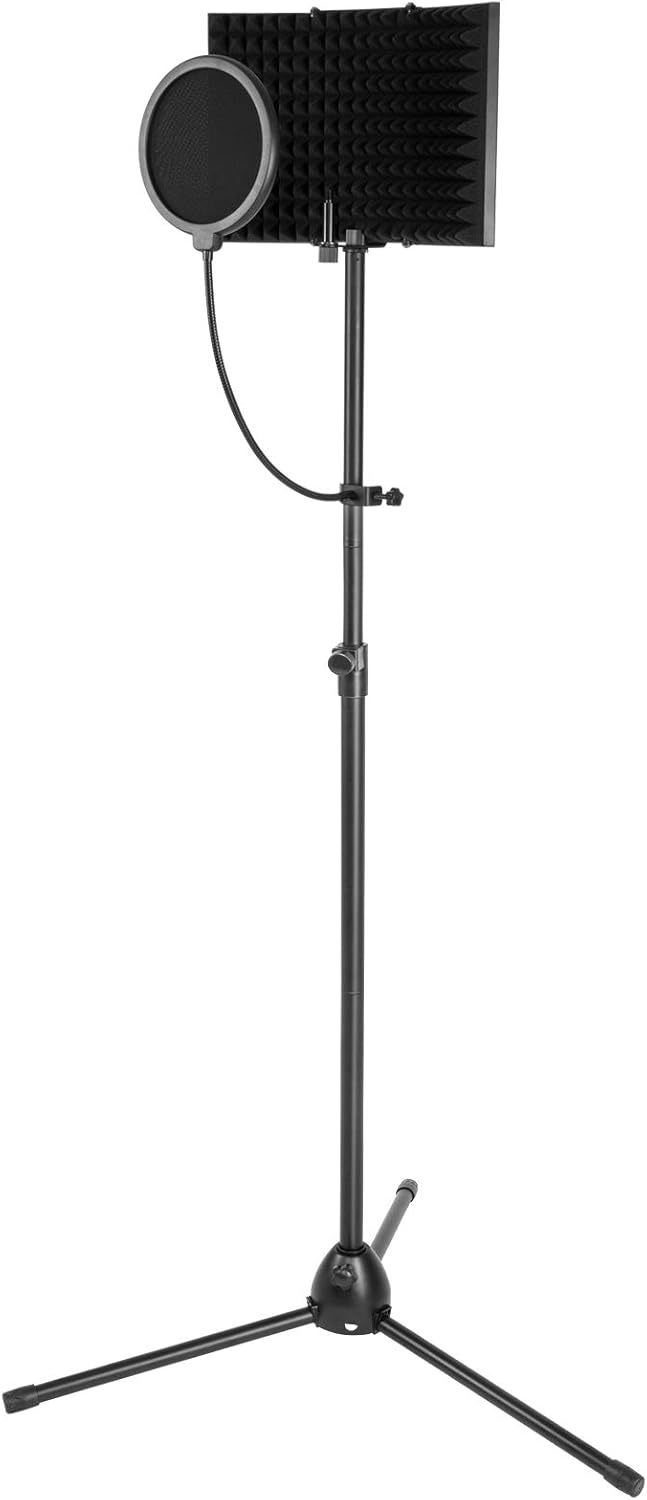 For Vocal Acoustic Recording And Podcasting, Agptek Offers A Microphone ...