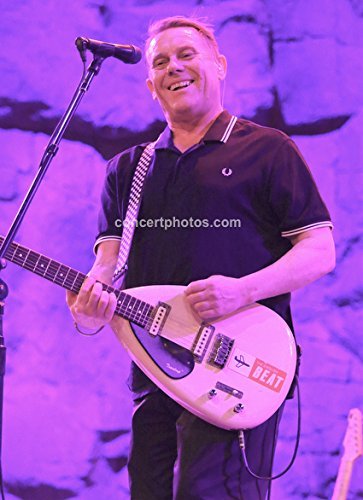 The English Beat - David Wakeling - 8x10 Color Photograph - Decals ...