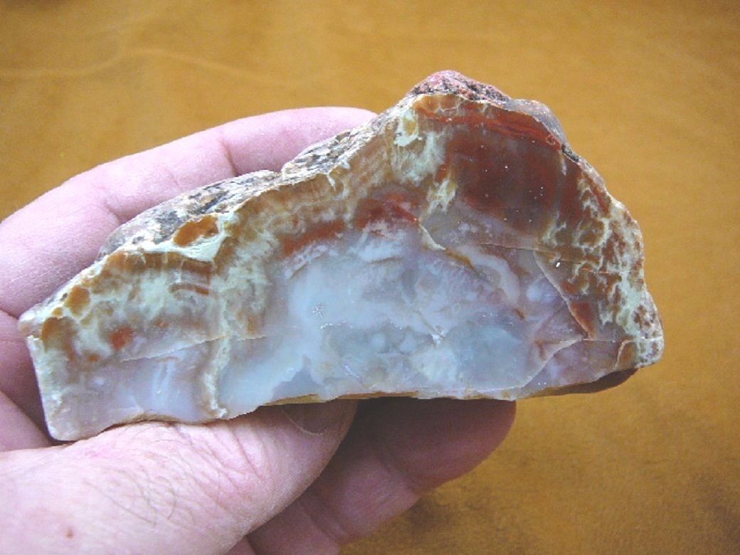 (DF704-2) 7 oz Fossil REAL DINOSAUR POOP Coprolite Dino Utah Jurassic ...