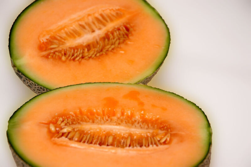 LWK Melon Iroquois Mkmelon Cantaloupe 40 Seeds Groco Easy Grow - Seeds ...