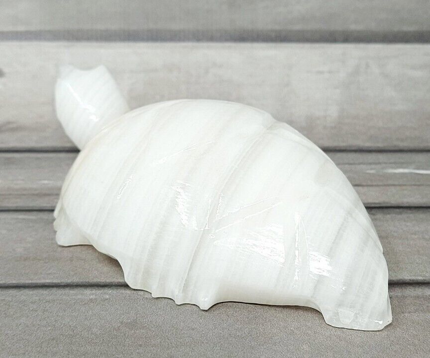 Onyx White Turtle 5" Statue Paperweight Figurine Snapping Horned Stone ...