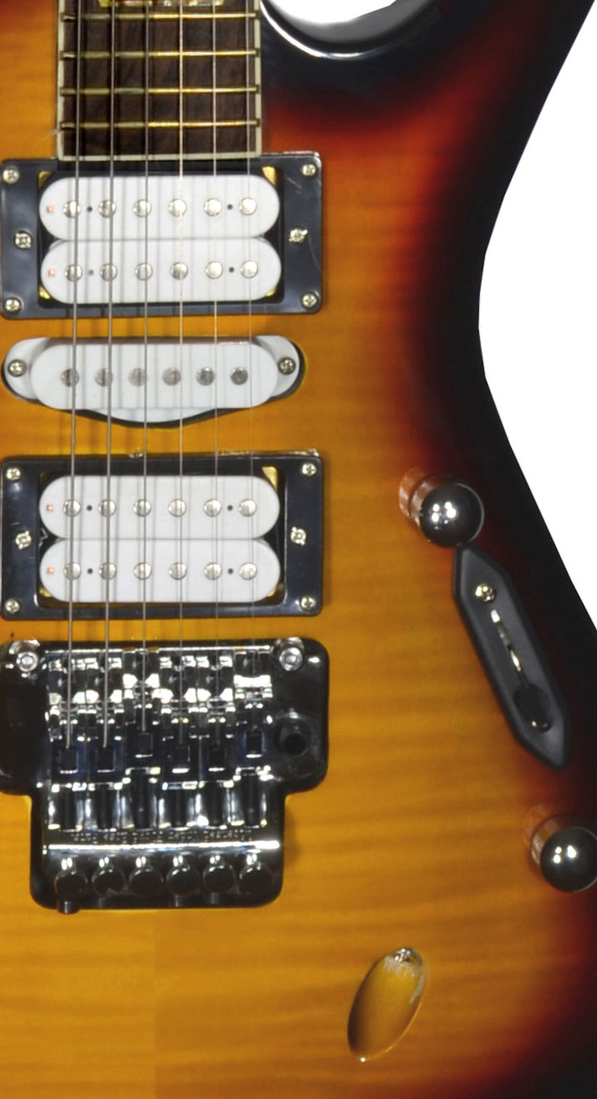 Fishbone Guitar CUSTOM ICE with FLOYD electric solid body - Electric ...