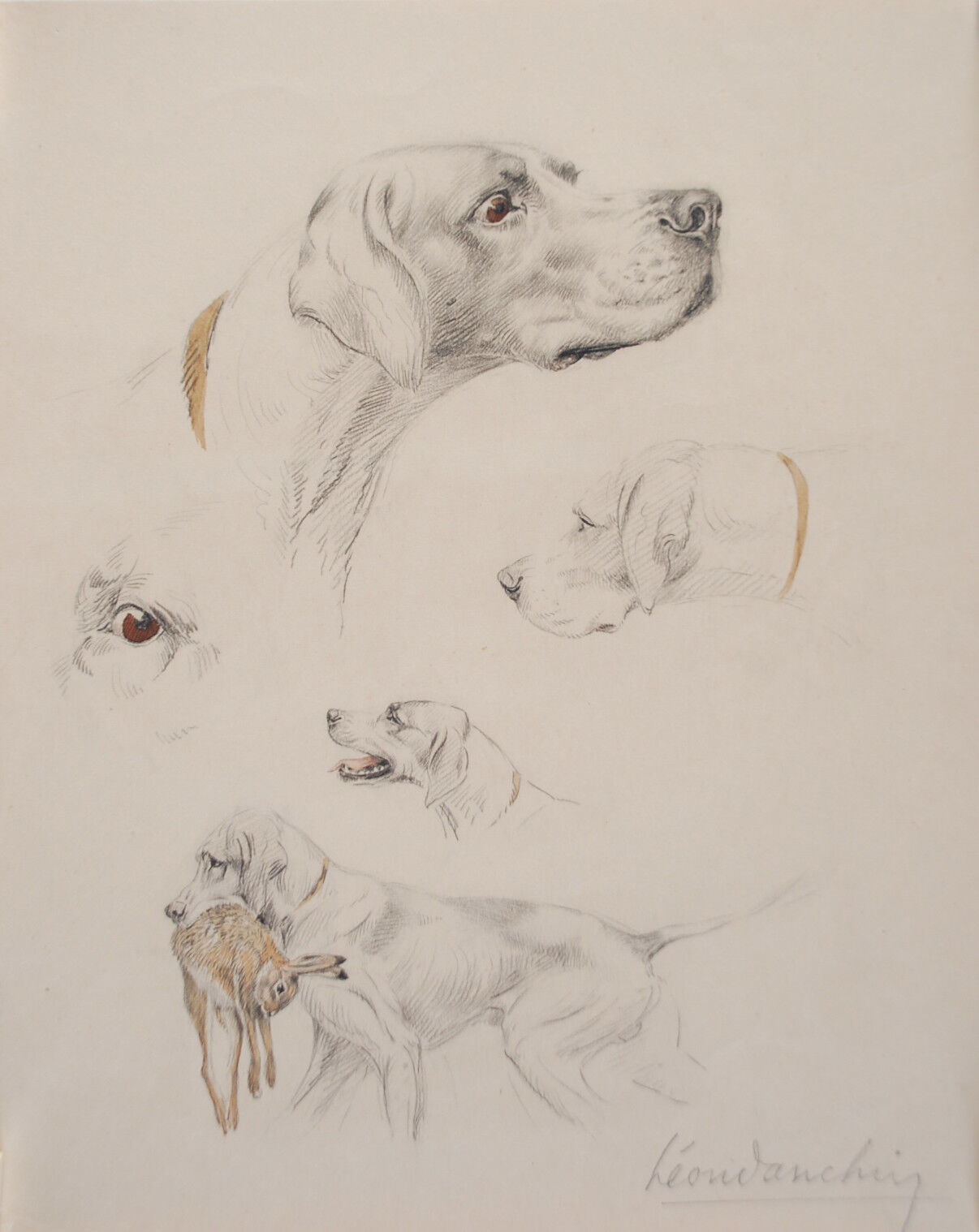 Leon DANCHIN Signed DRAWING Pointer study Etude de pointer 1920 - Art ...