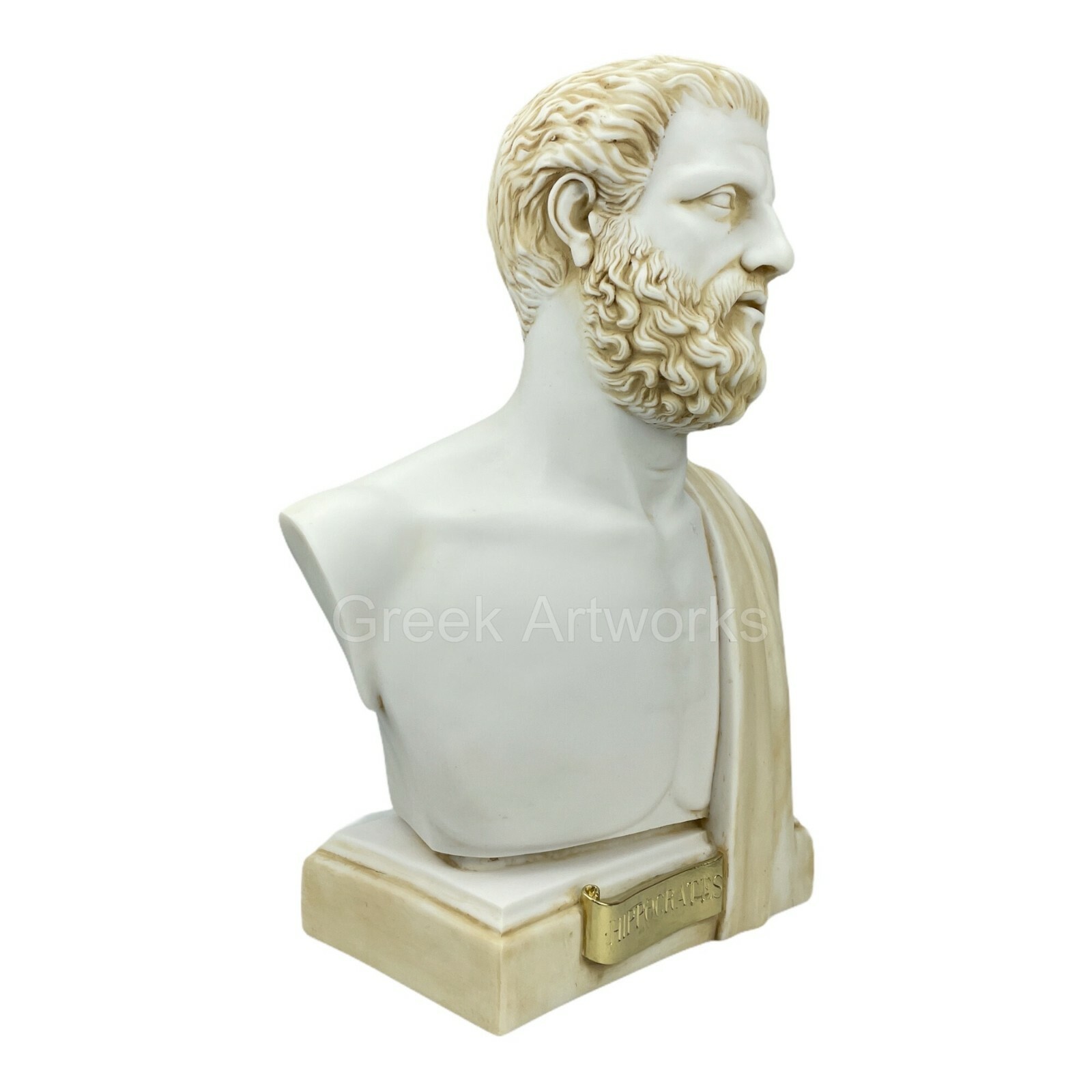 Hippocrates Father of Medicine Physician Portrait Bust Head Sculpture ...