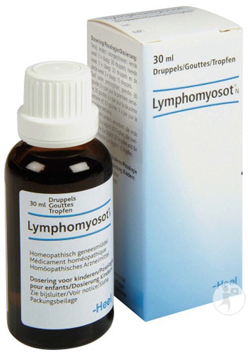 Heel Lymphomyosot 30 ml homeopathic lymphostasis edema - Homeopathic ...