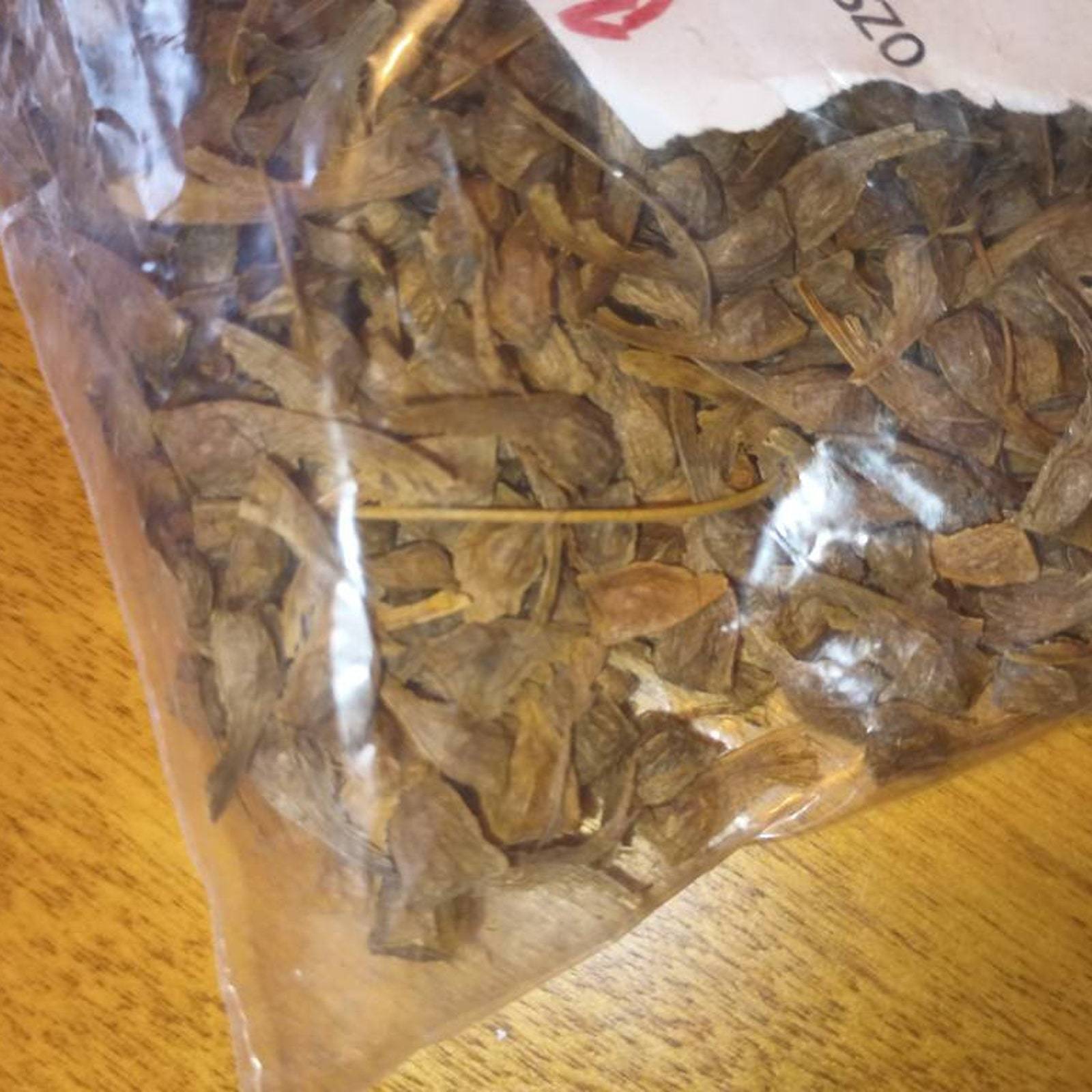 Dissected Japanese Maple Tree Seeds Acer Palmatum Dissectum Japanese ...