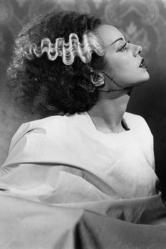 BRIDE OF FRANKENSTEIN ELSA LANCHESTER STRIKING PROFILE WITH SCARS 24X36 ...